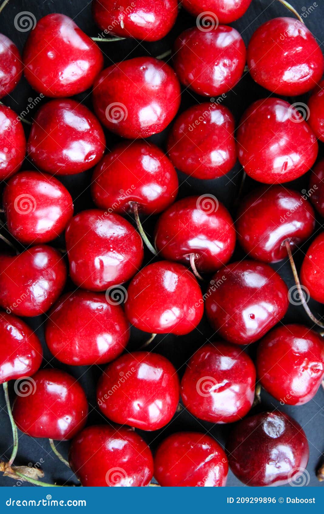 Fresh cherries background stock photo. Image of harvest - 209299896