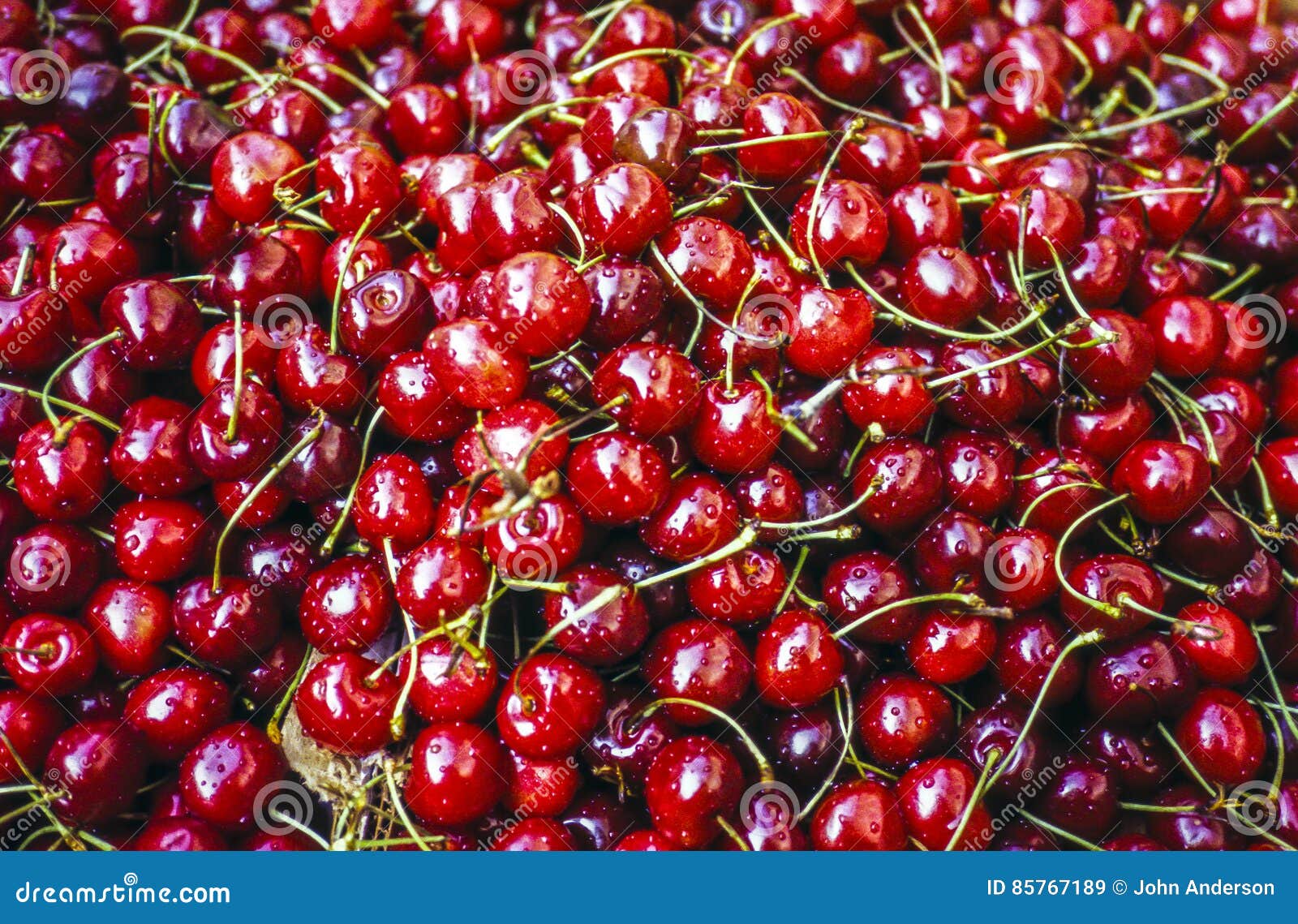Fresh Cherries stock image. Image of harvest, fruit, ingredients - 85767189