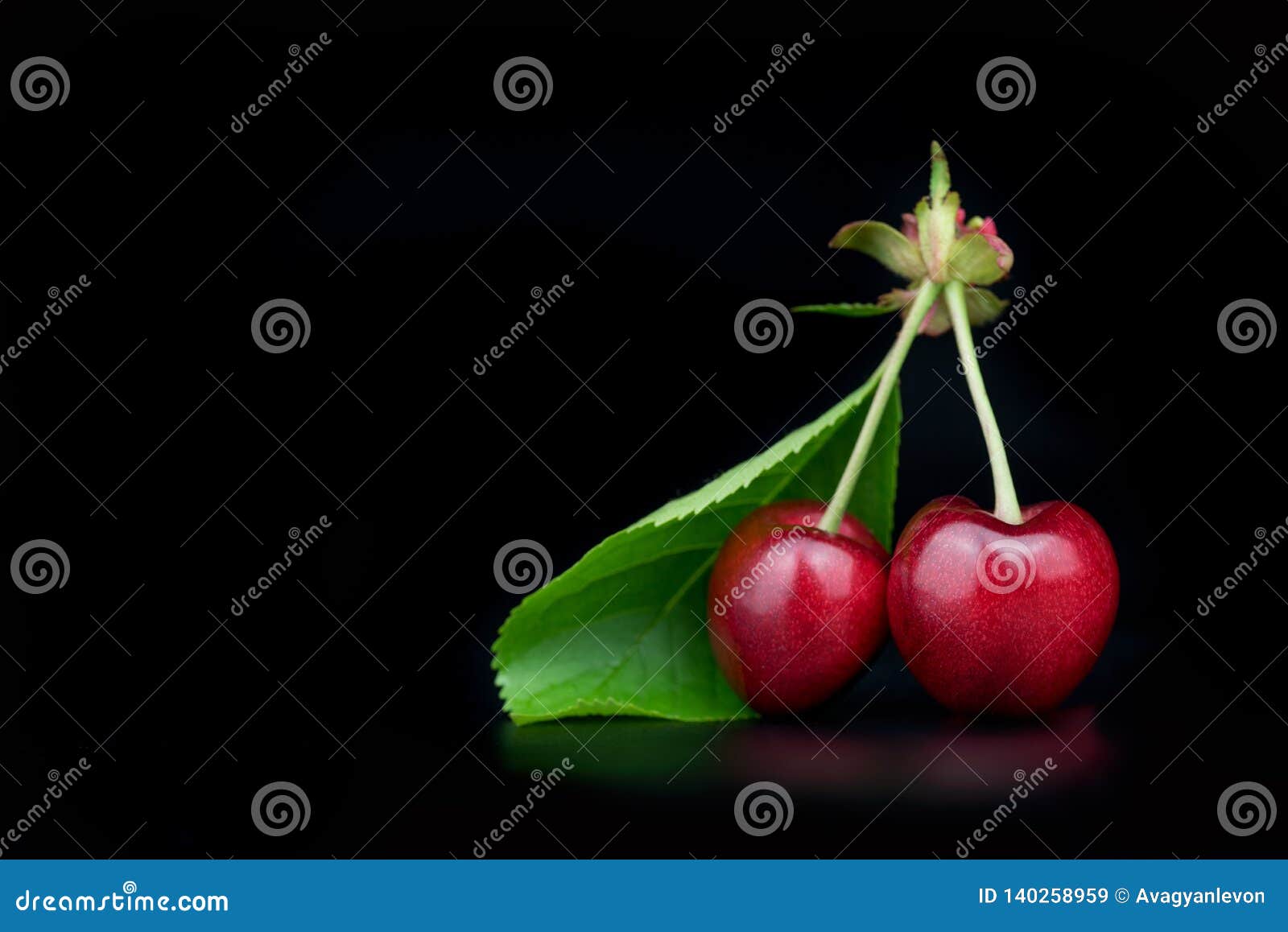 Cherry on Black Background stock image. Image of delicious - 140258959