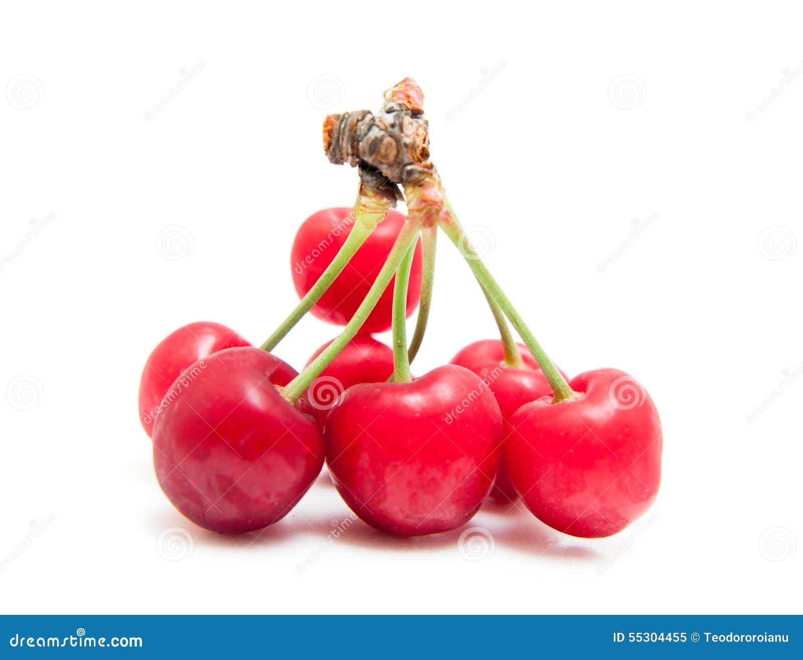 Fresh cherries stock image. Image of tasty, hand, orange - 55304455
