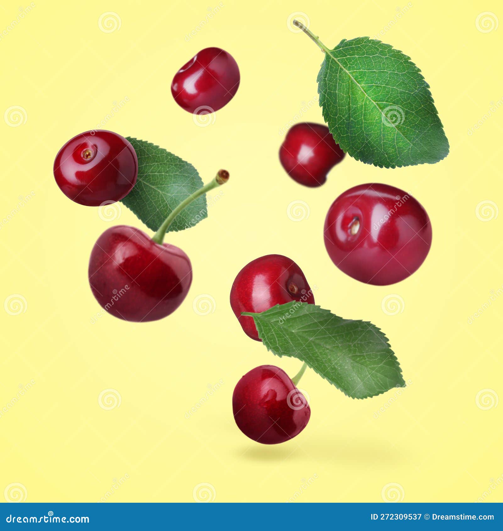 Fresh Cherries and Leaves Falling on Light Yellow Background Stock ...