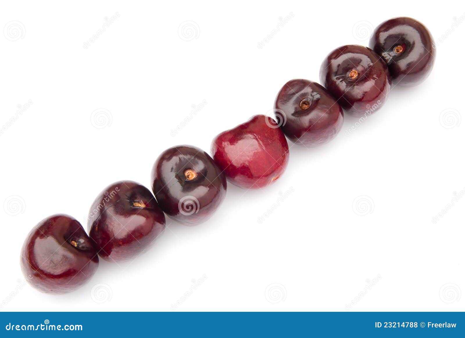 Fresh cherries line up stock photo. Image of ripe, juicy - 23214788