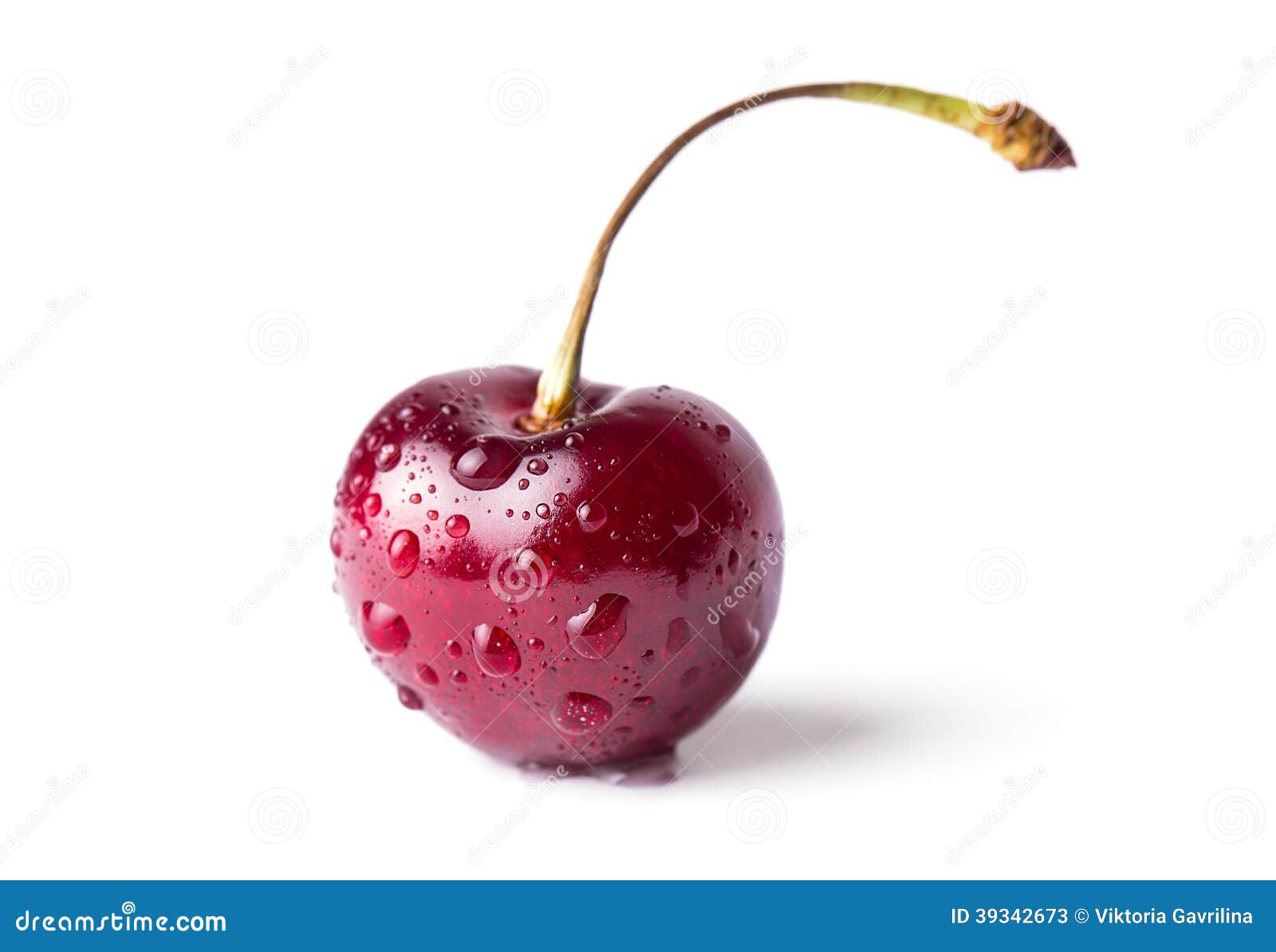 A Red Cherry Berry Hangs On A Branch Against The Background Of Green ...