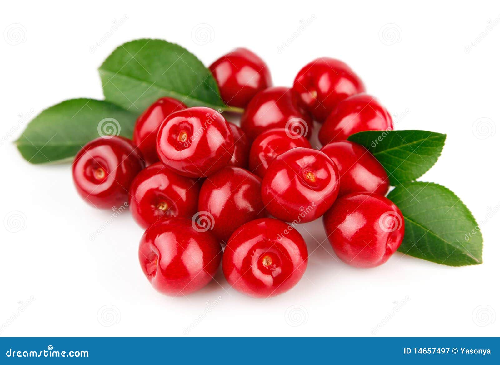 Fresh Cherry Fruits with Green Leaves Stock Image - Image of ripe ...