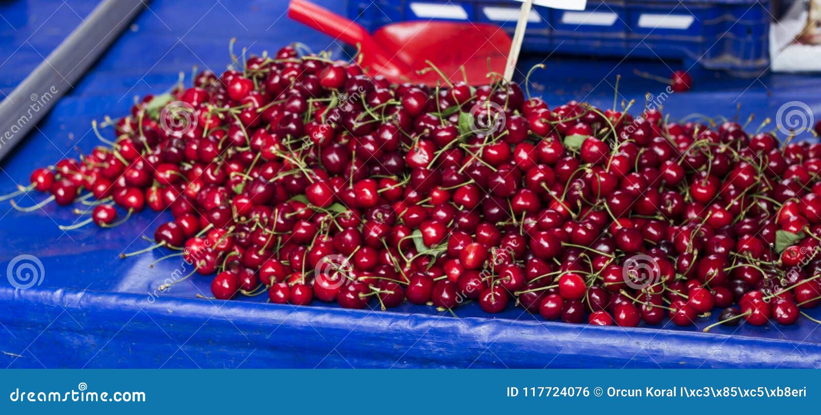 Fresh Cherry at Traditional Turkish Bazaar Stock Photo - Image of blue ...