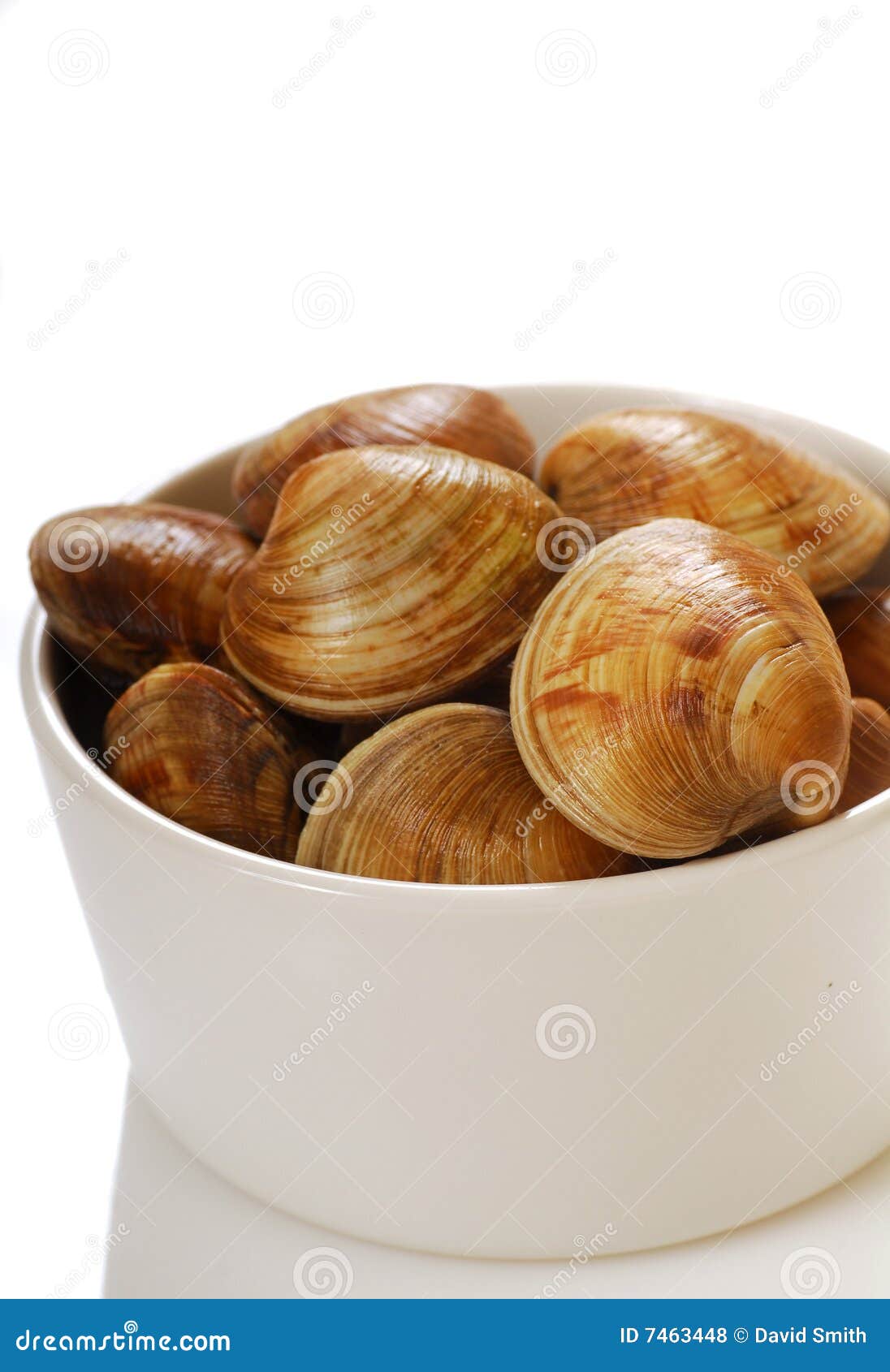 Fresh Cherrystone Clams in a Bowl Stock Photo - Image of healthy, stone ...