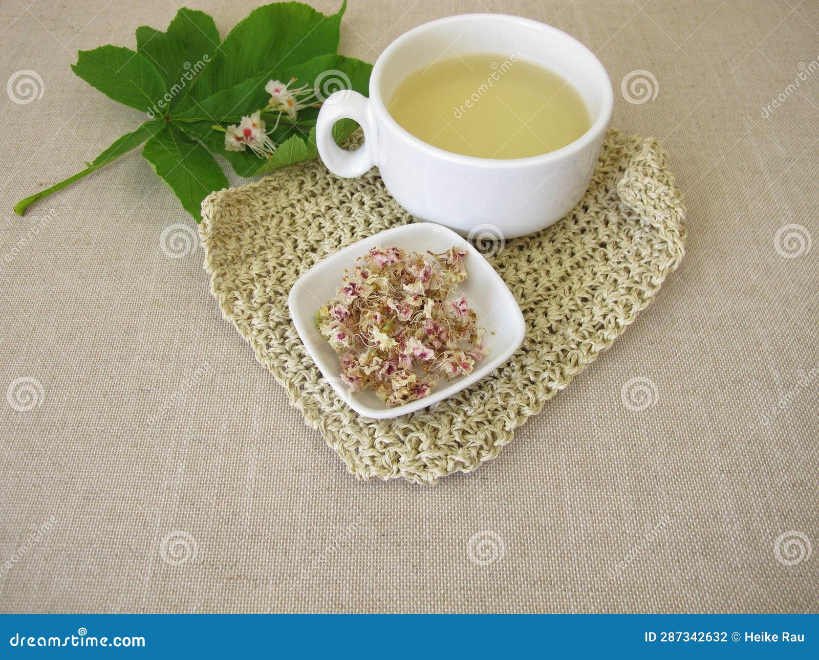 Fresh Chestnut Tea from Dried Horse Chestnut Flowers Stock Photo ...