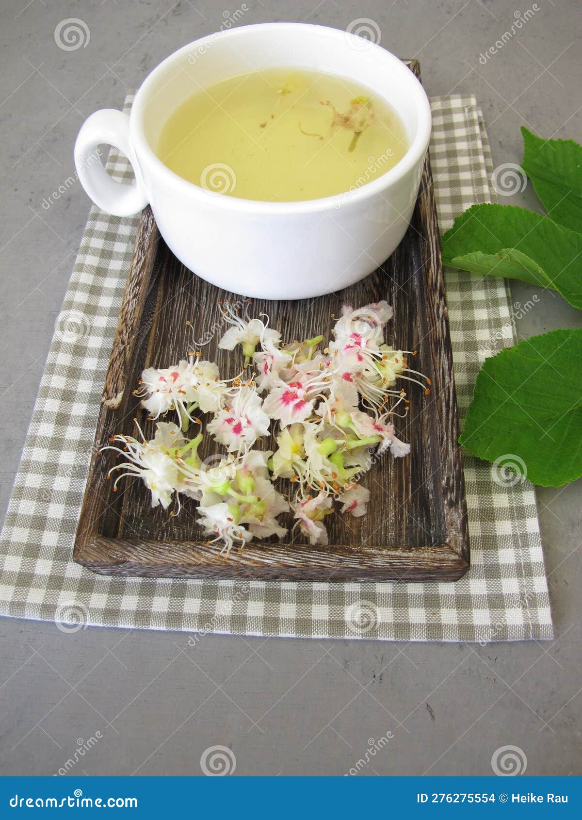 Fresh Chestnut Tea from Horse Chestnut Flowers Stock Photo - Image of ...