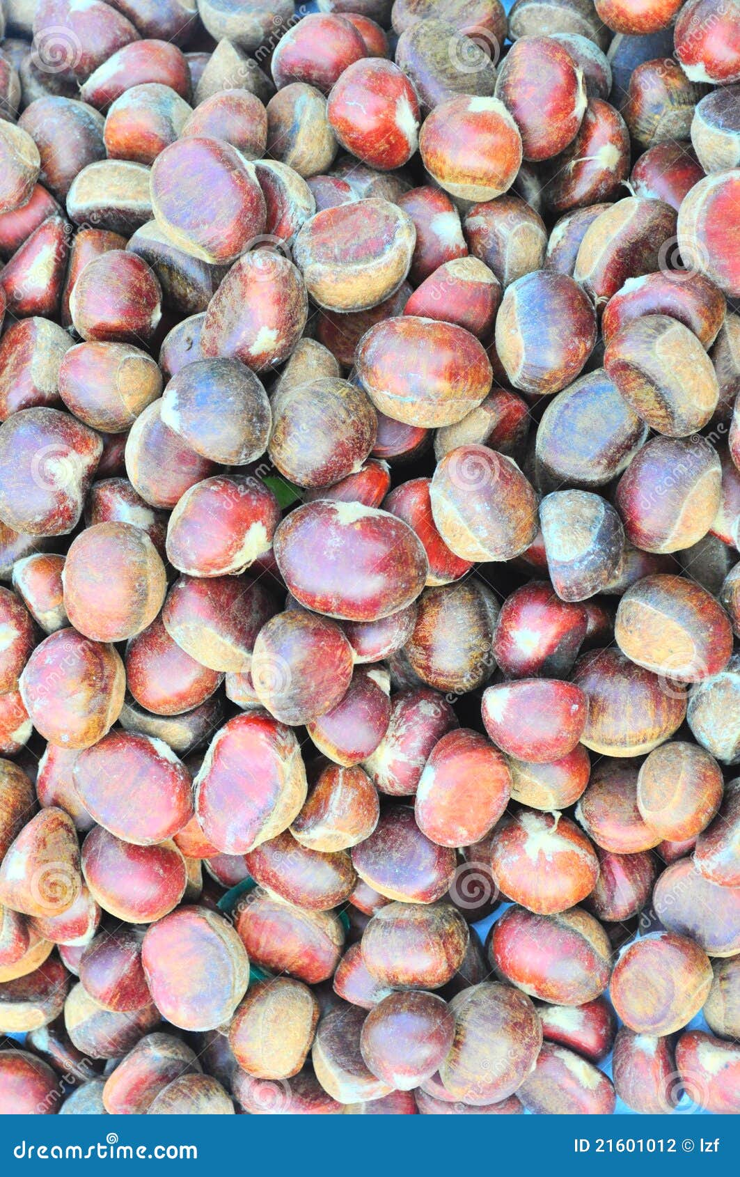 Fresh chestnuts stock photo. Image of stack, farmer, fruit - 21601012
