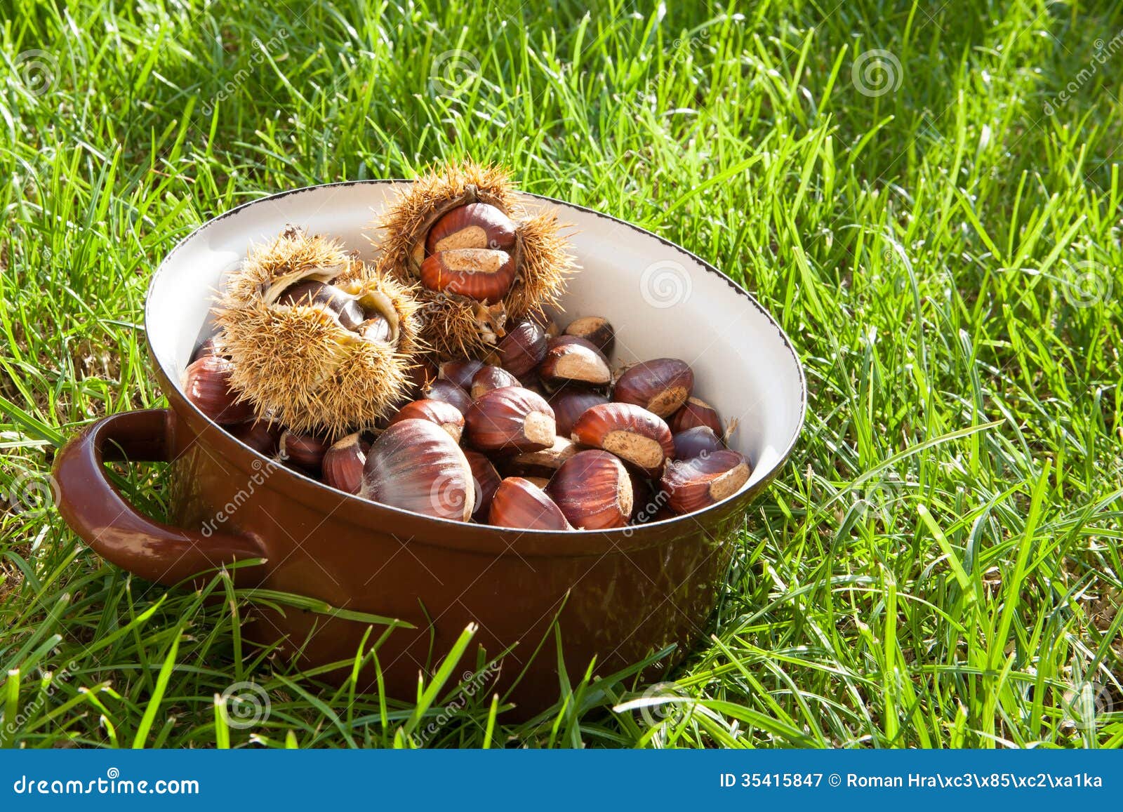 Fresh chestnuts in a pot stock image. Image of sunlight - 35415847