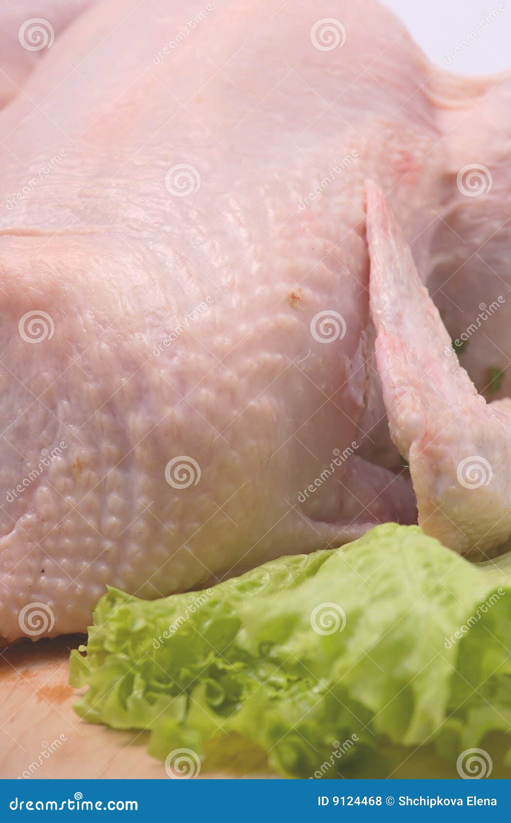 Fresh chicken stock photo. Image of fresh, salad, product - 9124468