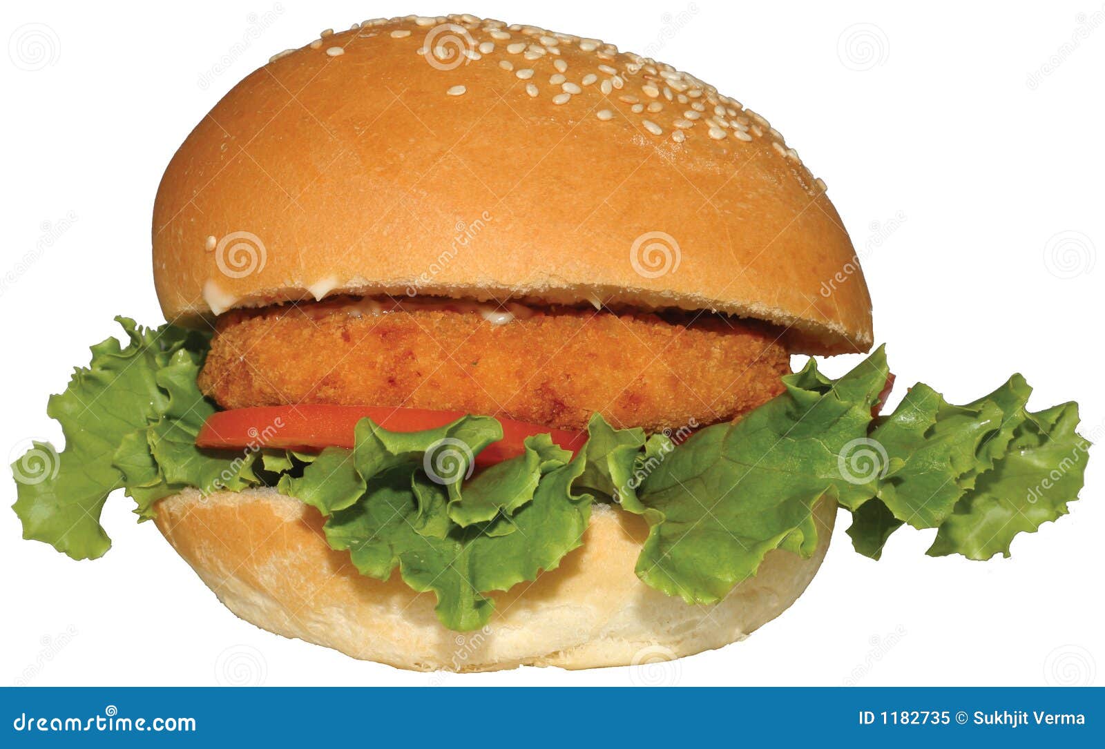 Fresh chicken burger stock image. Image of yummy, burger - 1182735