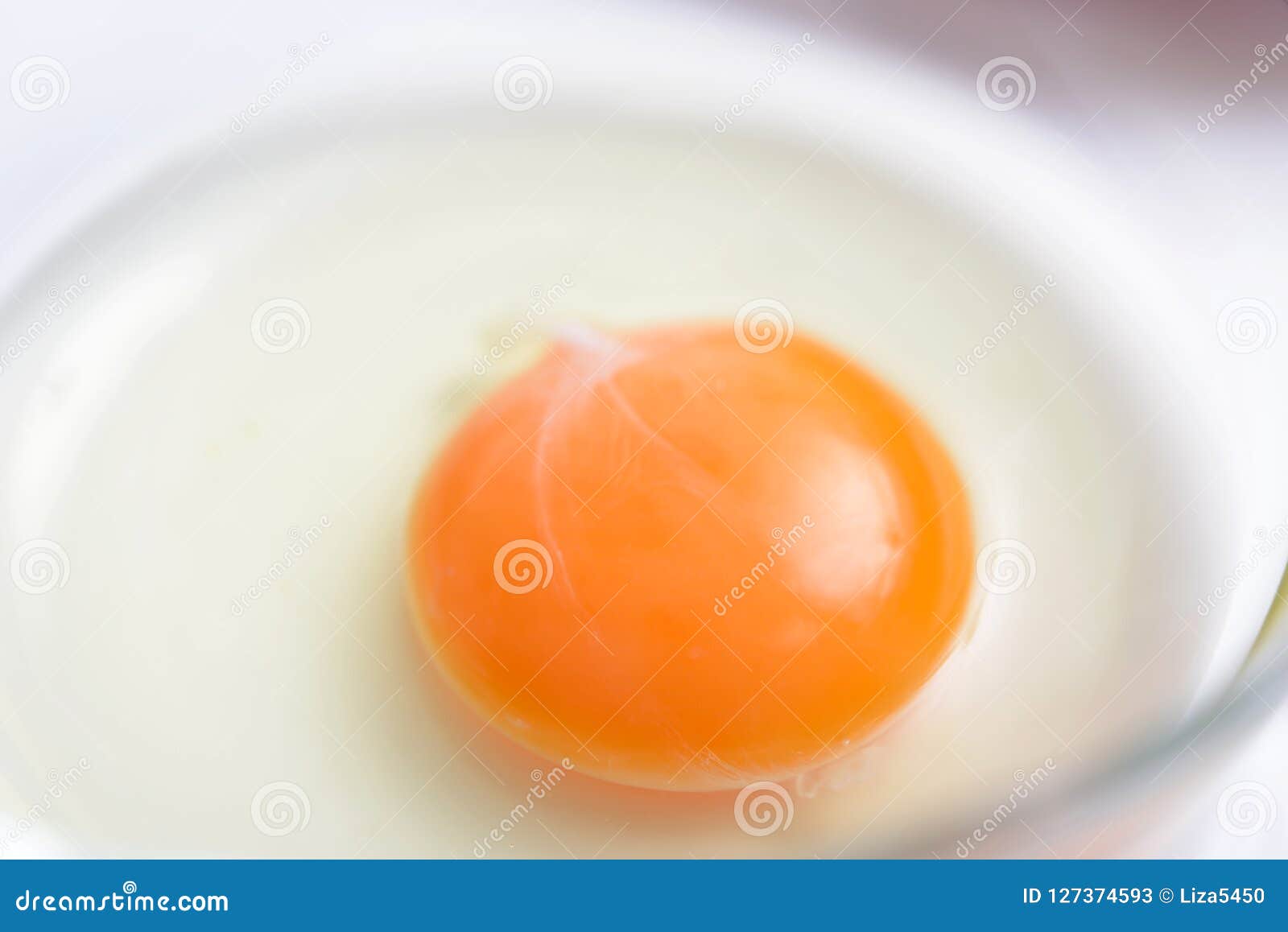 Fresh chicken egg stock image. Image of dining, agriculture - 127374593