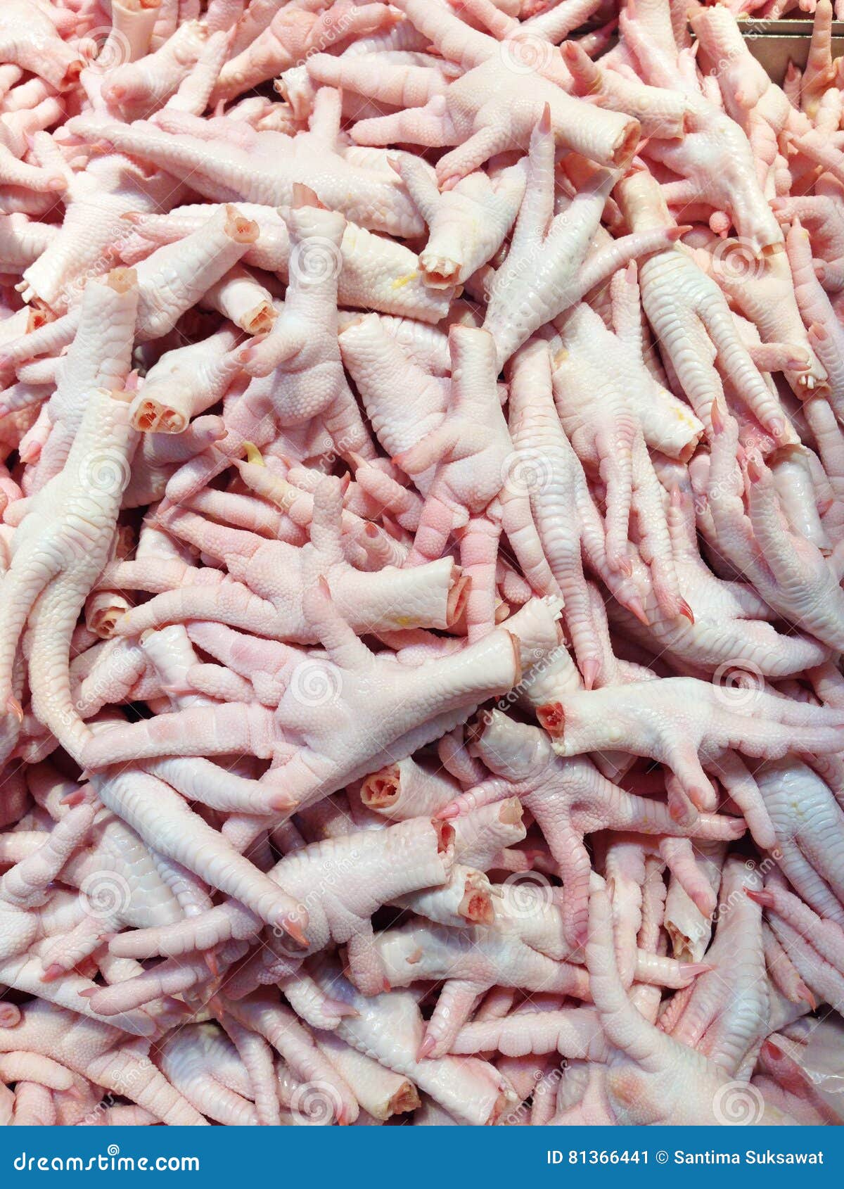 Fresh Chicken Foot at the Market Stock Image - Image of cooking, exotic ...