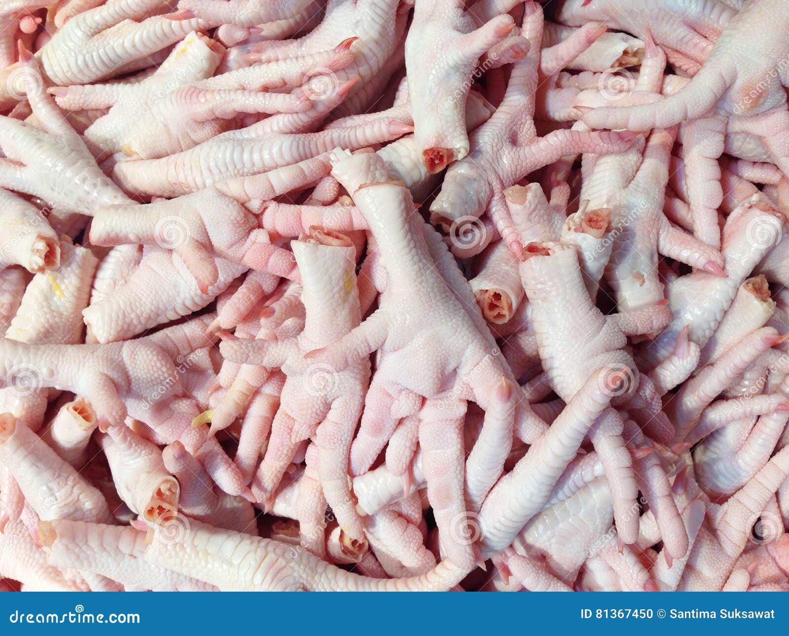 Fresh Chicken Foot at the Market Stock Photo - Image of sale, fresh ...