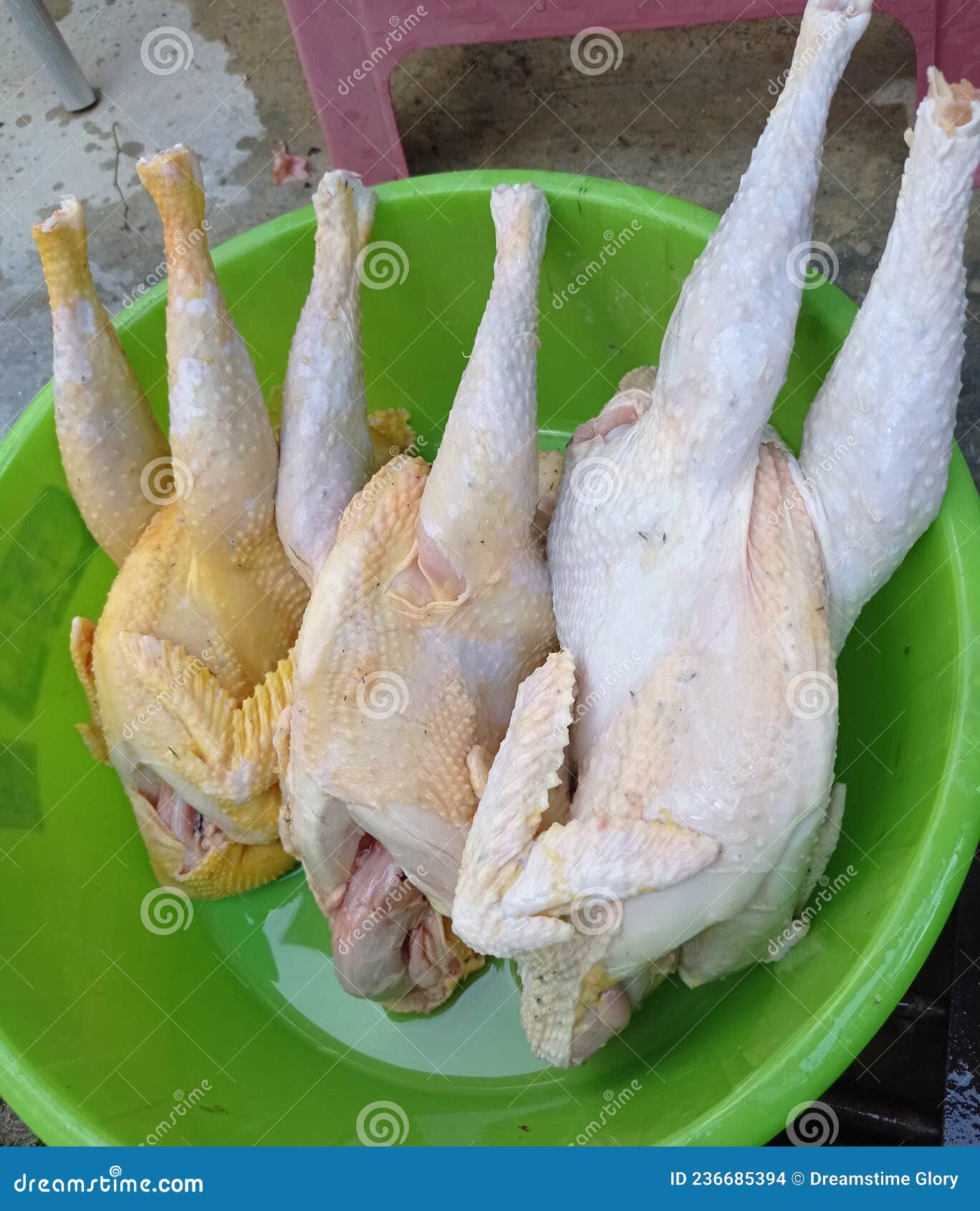Fresh Chicken Meat Ready To Cook Stock Photo - Image of ready, cuisine ...