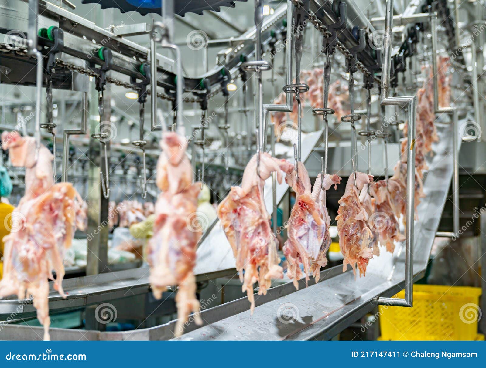 Fresh Chicken after Part Cutting Process Stock Image - Image of fresh ...