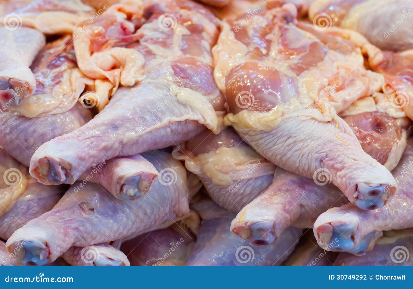 Fresh chickens stock photo. Image of uncooked, nutrition - 30749292