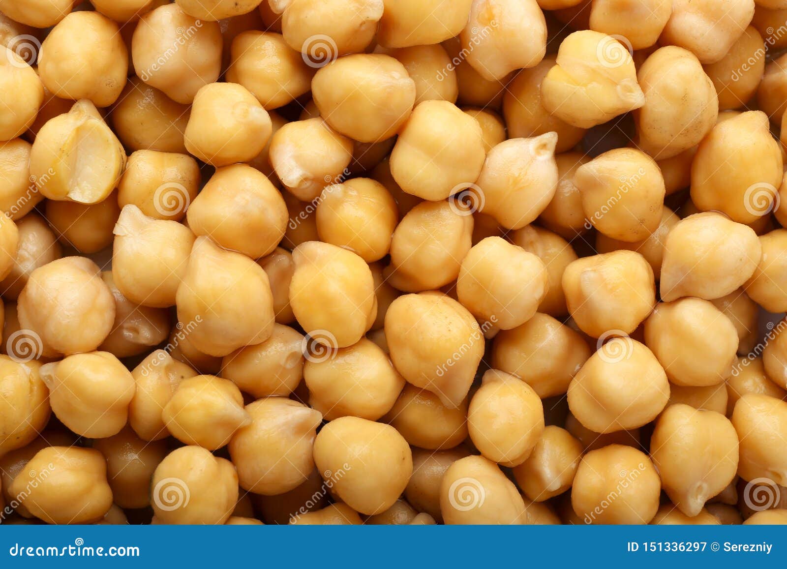 Fresh chickpeas, closeup stock image. Image of turkish - 151336297