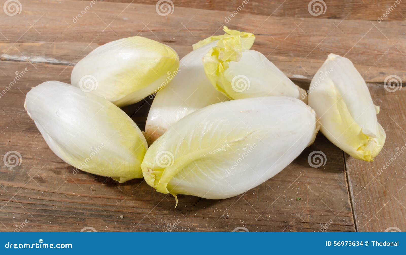 Fresh chicories stock photo. Image of nutrition, healthy - 56973634