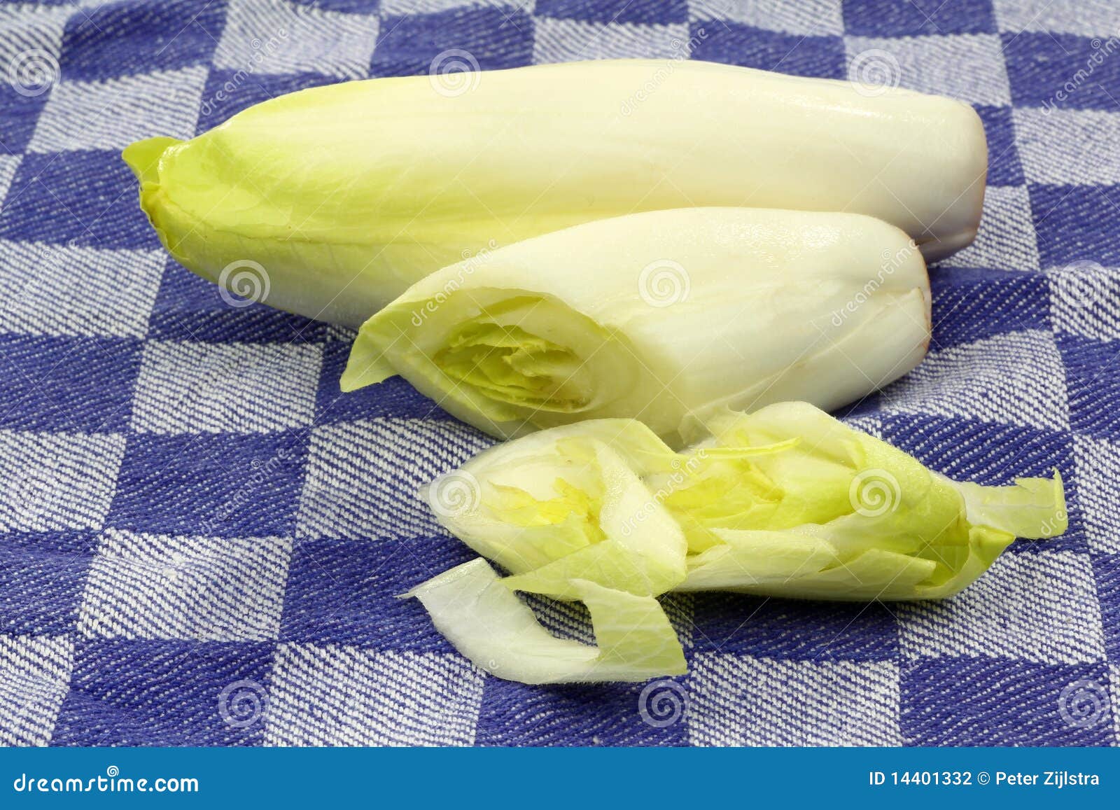 Fresh chicory stock photo. Image of agriculture, vitamins - 14401332