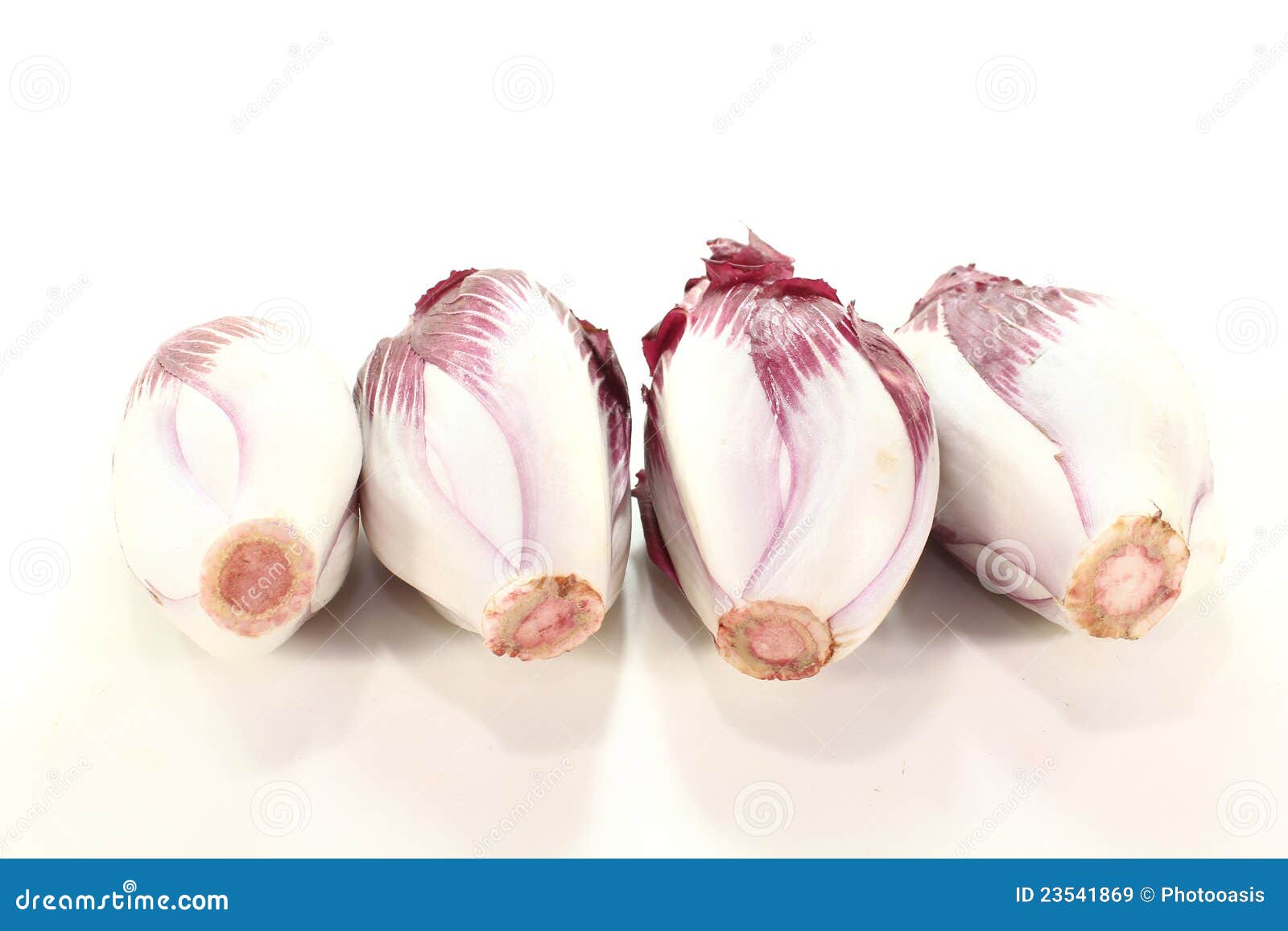Fresh chicory stock image. Image of healthy, digestion - 23541869