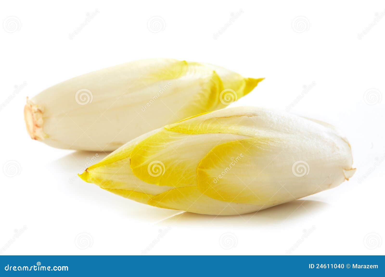 Fresh Chicory stock photo. Image of vegetarian, healthy - 24611040