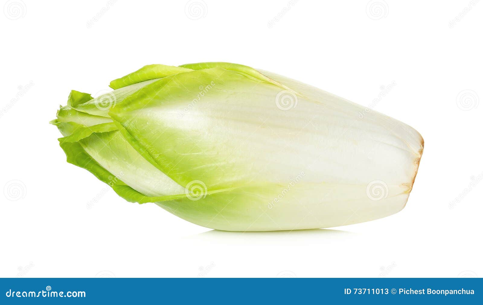 Fresh Chicory Isolated on a White Background Stock Image - Image of ...