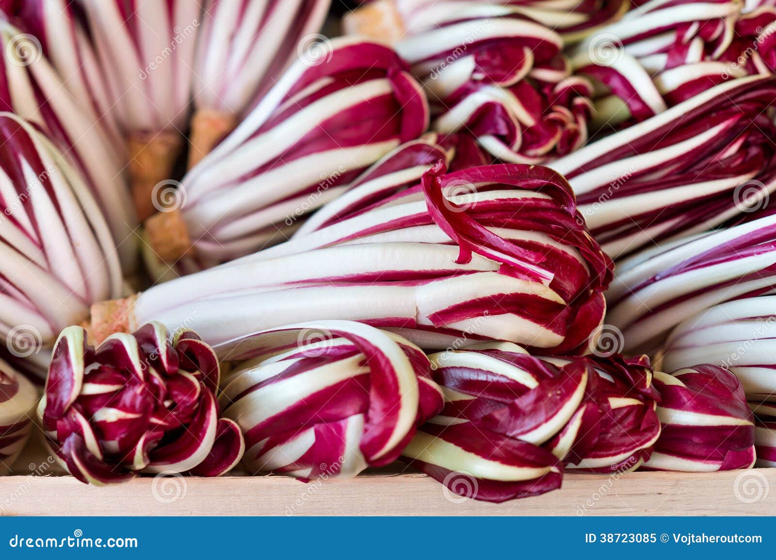 Fresh Chicory on the Market Stock Image - Image of health, farm: 38723085