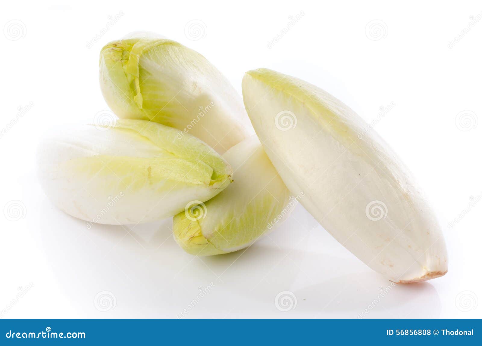Fresh chicory stock photo. Image of vegetable, endives - 56856808