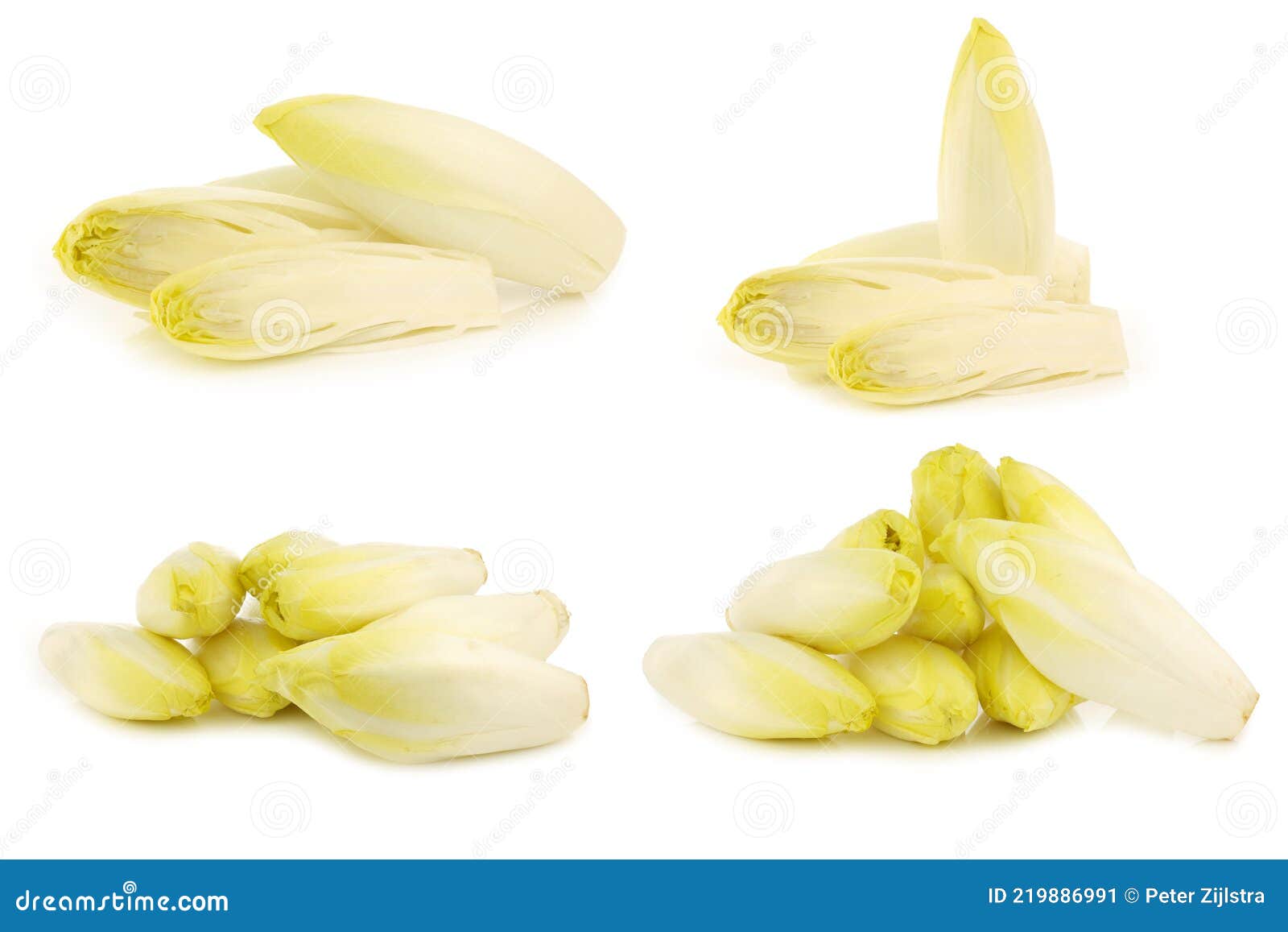 Fresh chicory stock image. Image of vitamins, food, yellow - 219886991