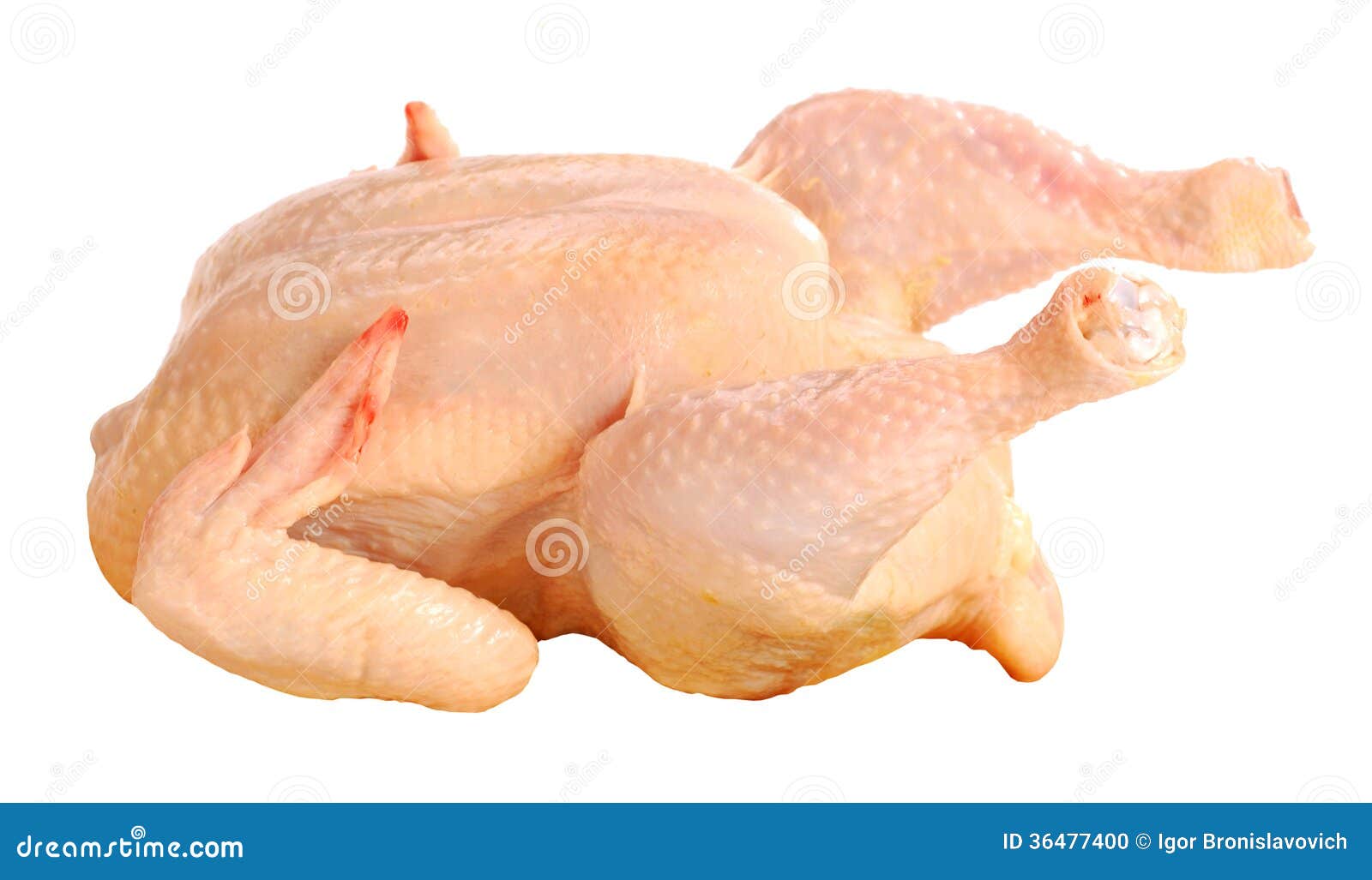 Fresh chicken stock photo. Image of taste, appetite, idea - 36477400