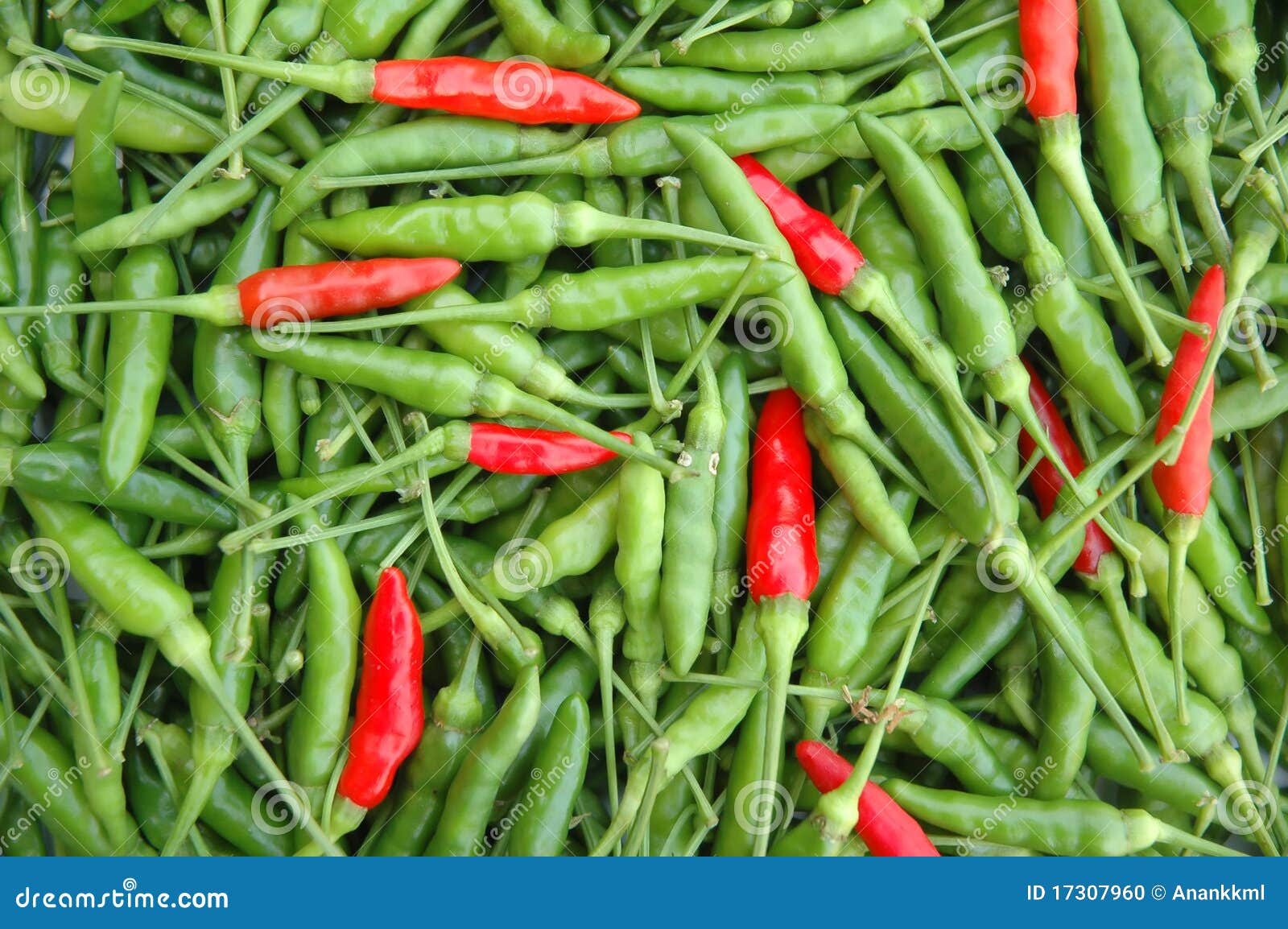 Fresh chili stock photo. Image of fiery, capsaicin, cayenne - 17307960