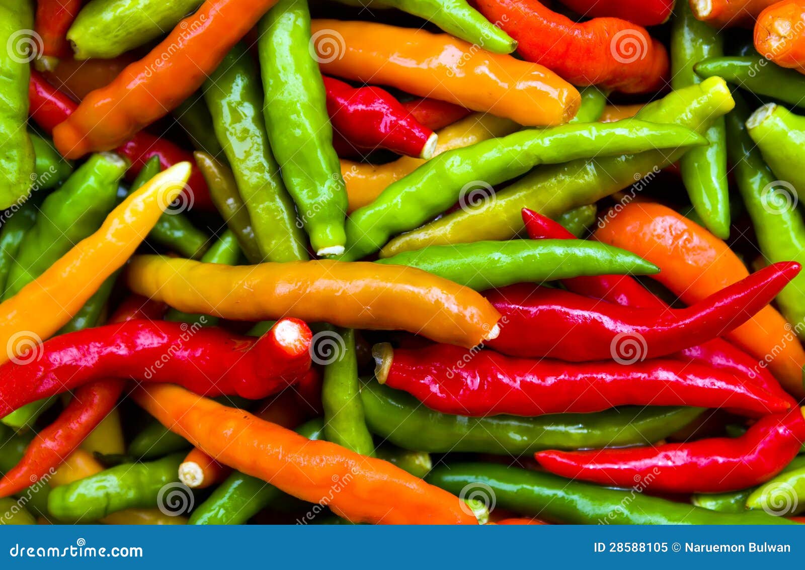 Fresh chili stock image. Image of heat, seasoning, ingredient - 28588105