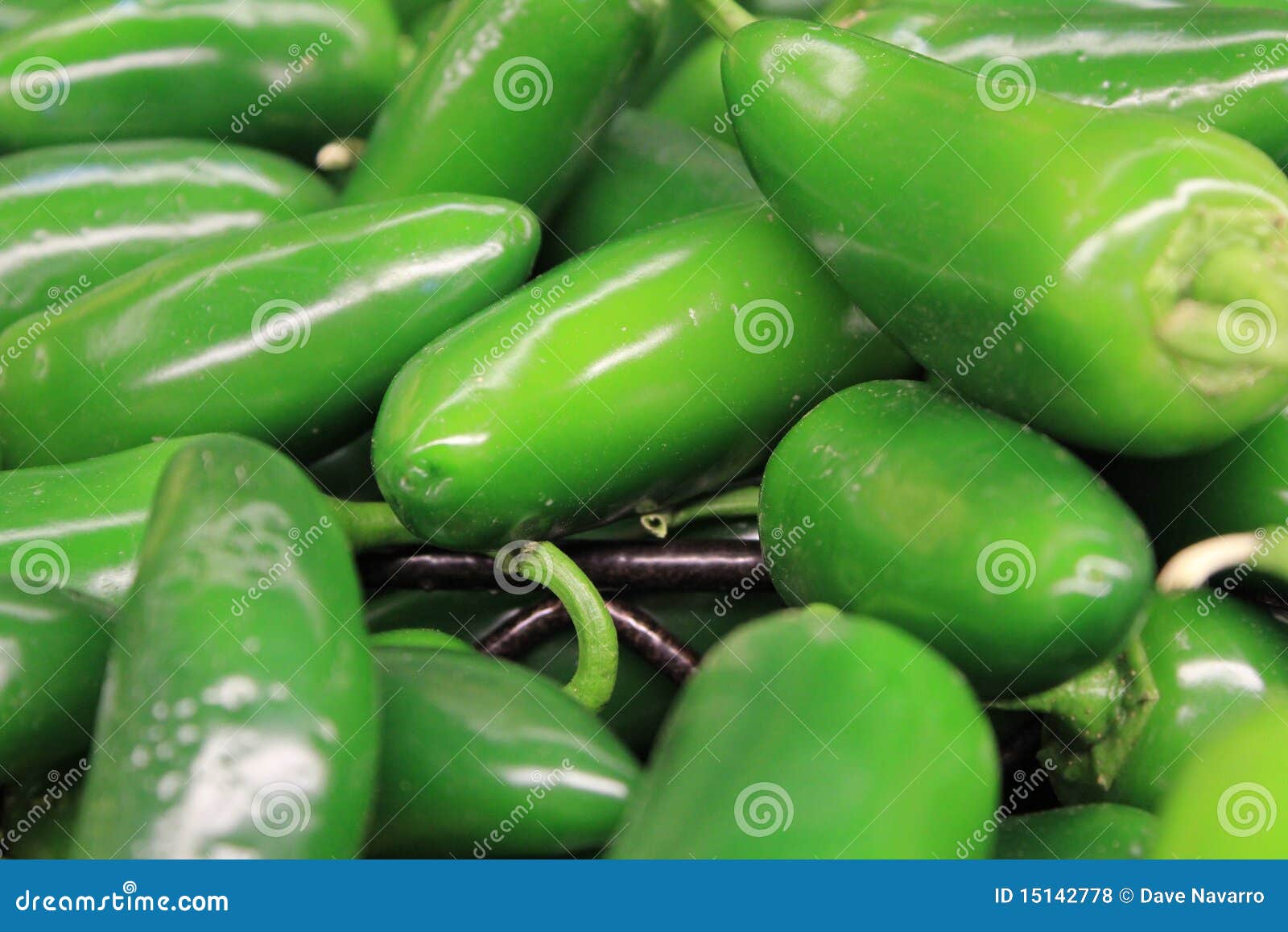 Fresh Chili Peppers stock photo. Image of ingredient - 15142778