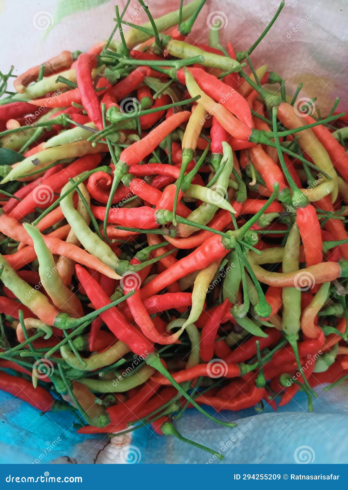 Fresh Chilies with a Very Beautiful and Tempting Color , Fresh Spicy ...