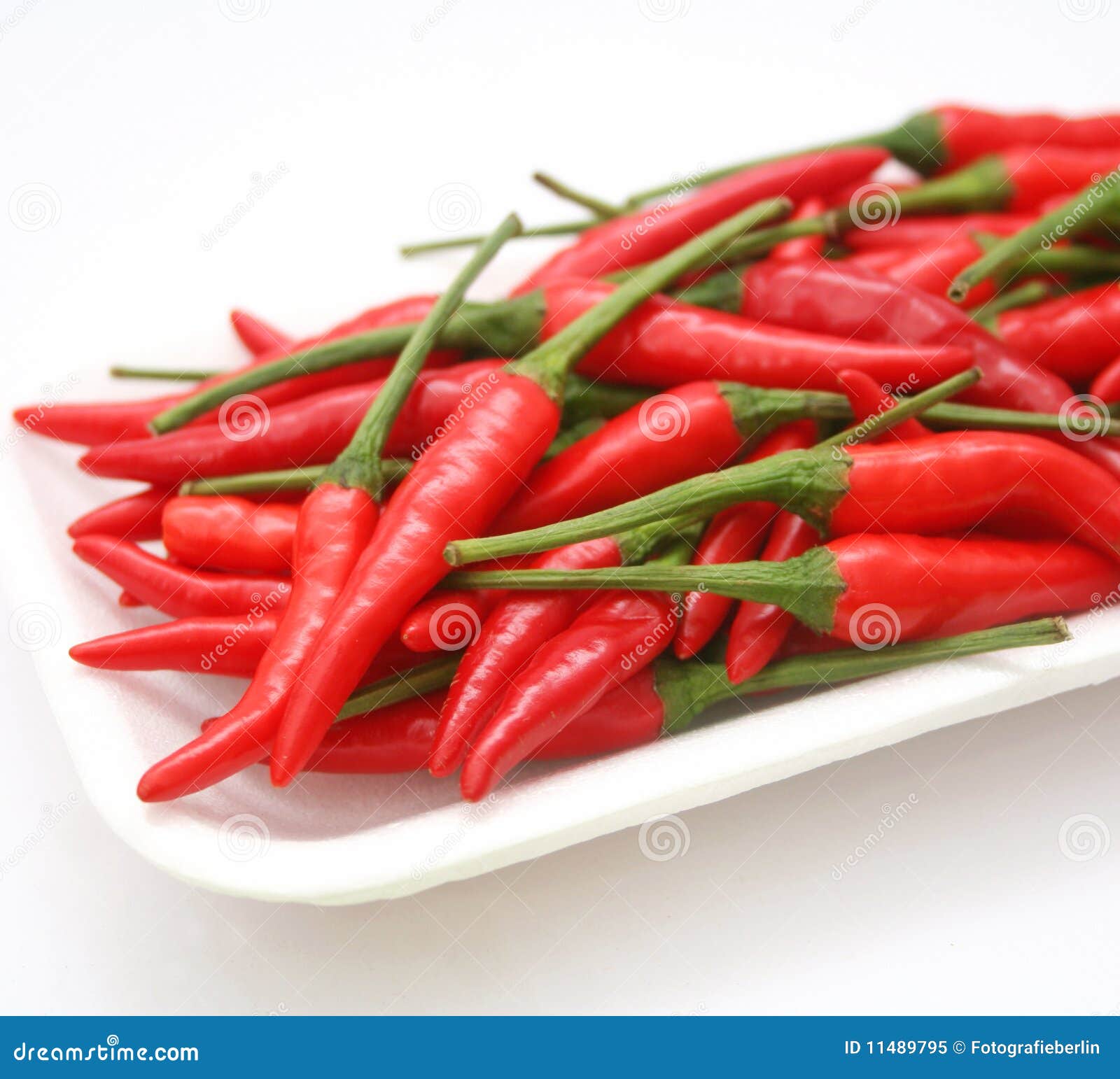 Fresh chilis stock image. Image of chilli, chili, asian - 11489795