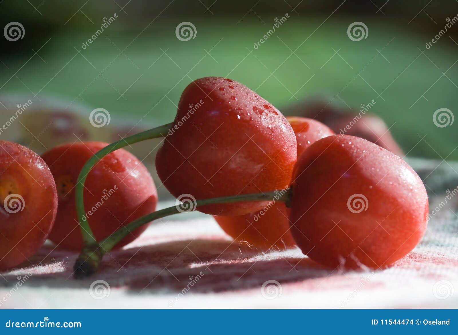 Fresh Chilled Cherries stock photo. Image of icebox, vegetarian - 11544474