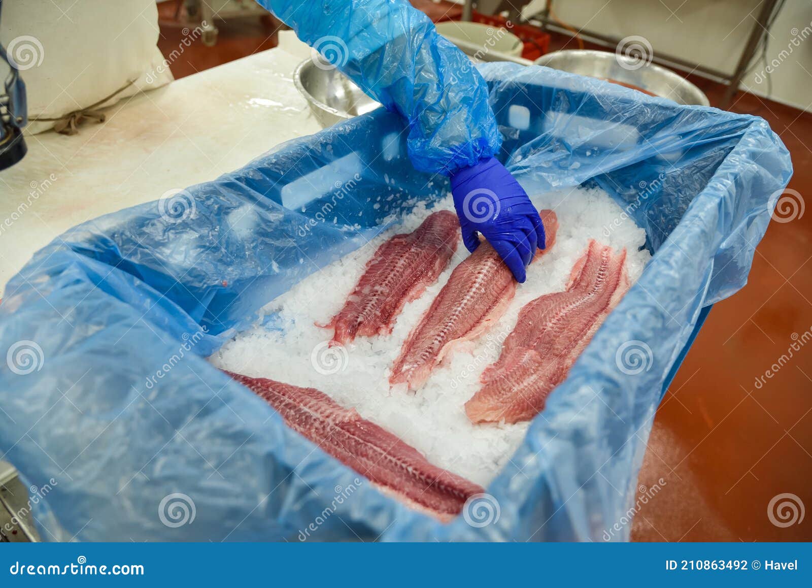 Fresh Chilled Fish Fillets Lies on Ice Stock Photo - Image of meat ...