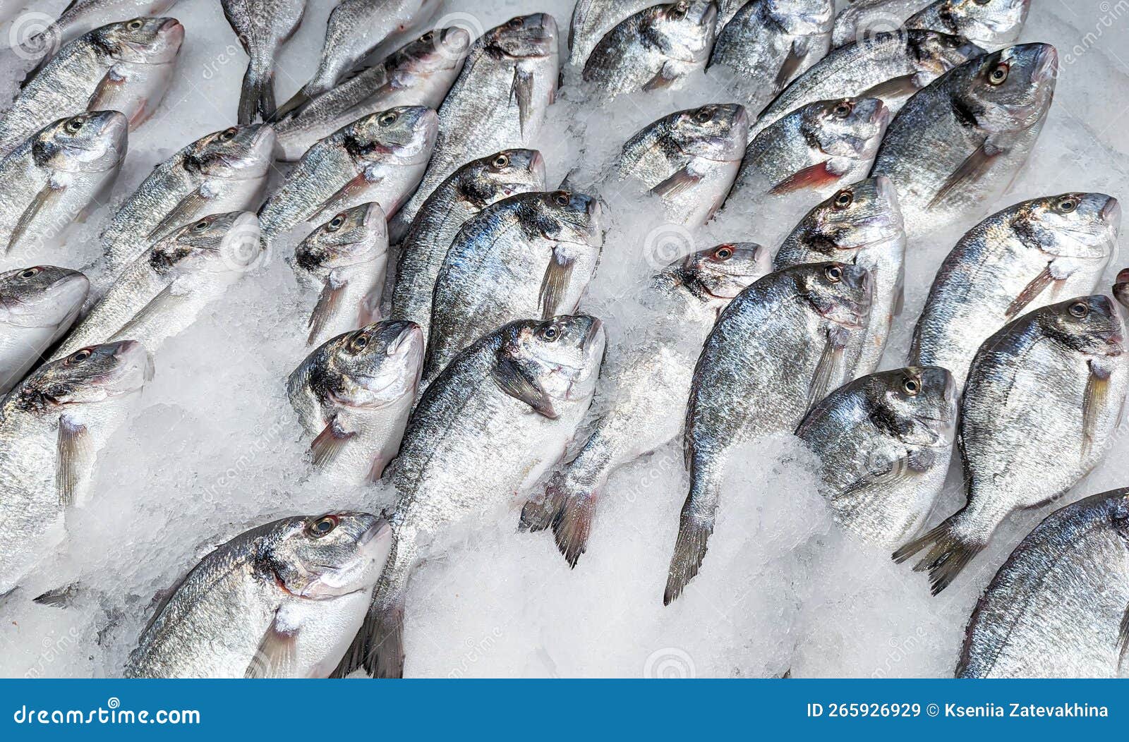 Fresh Chilled Fish among Ice in a Supermarket Stock Image - Image of ...