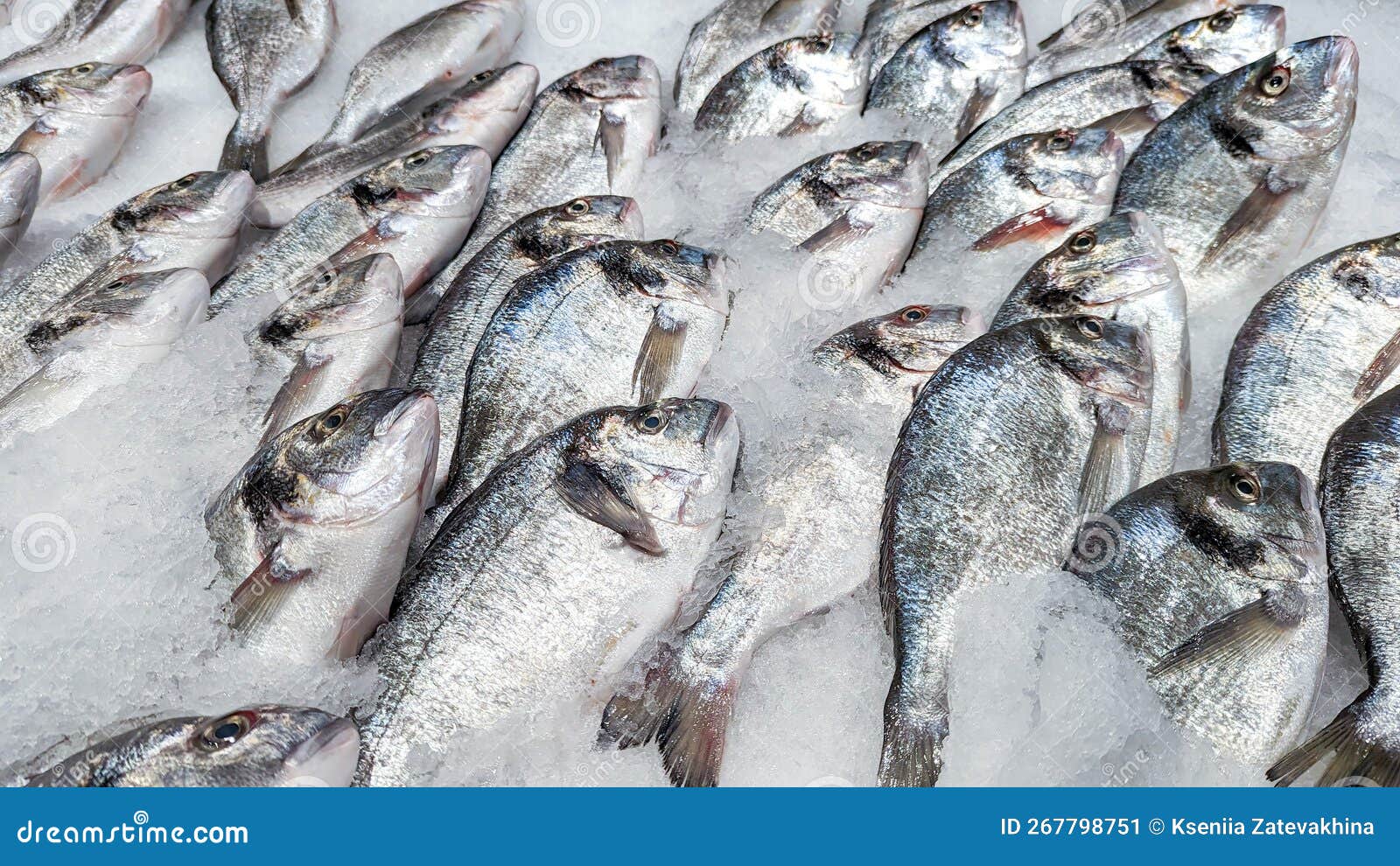 Fresh Chilled Fish among Ice in a Supermarket Stock Image - Image of ...