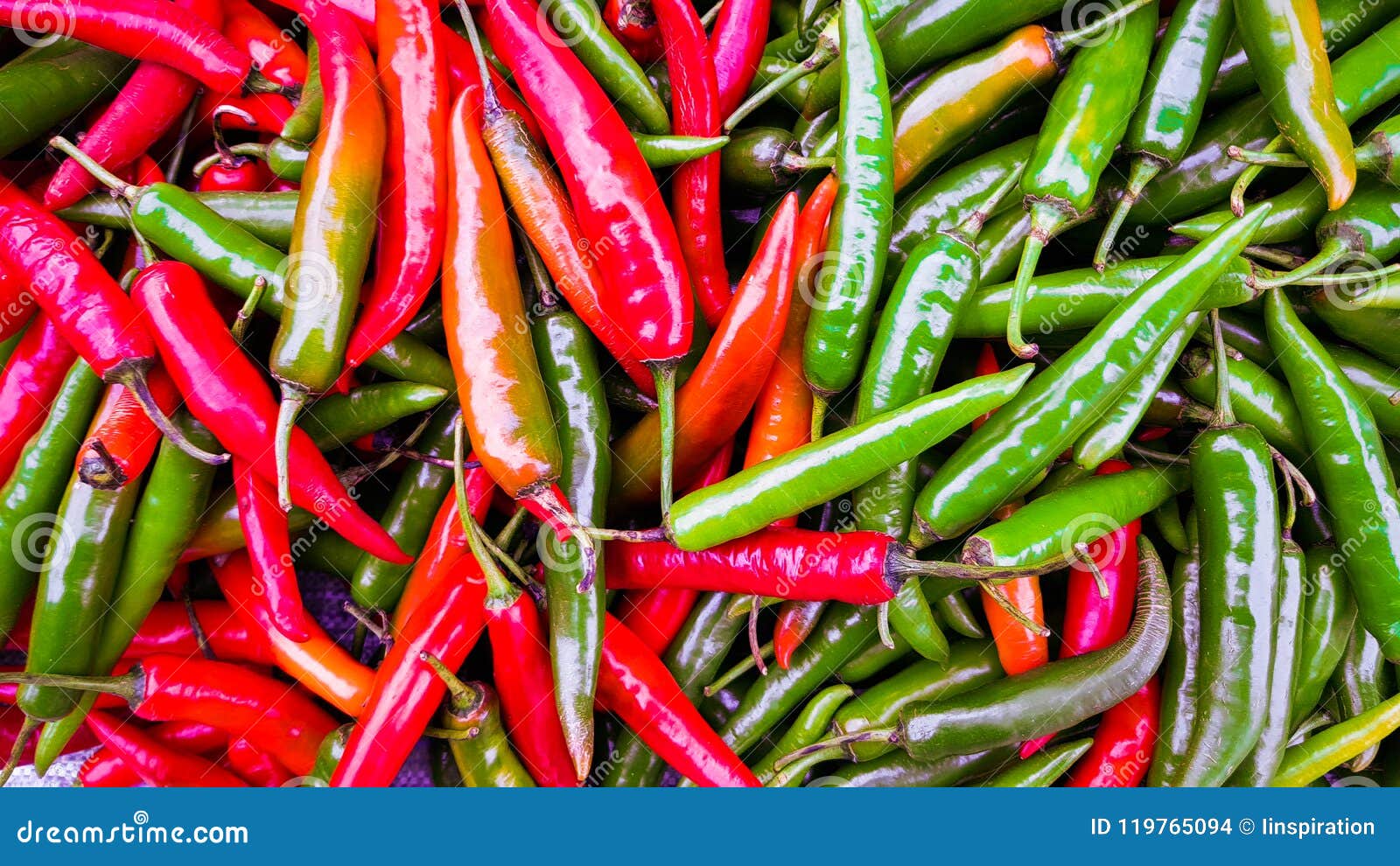 Fresh Chilli. Closeup stock photo. Image of green, vegetable - 119765094