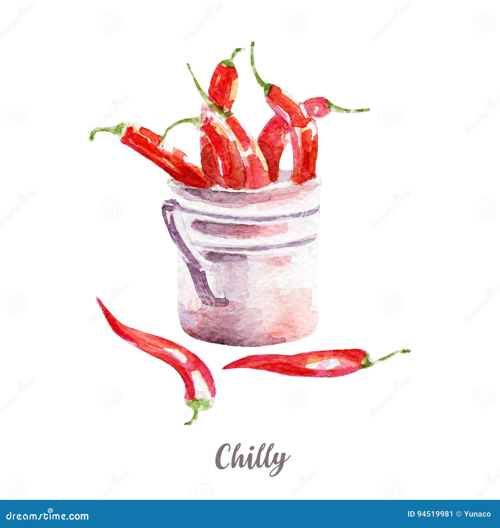 Fresh Chilli Illustration. Hand Drawn Watercolor on White Background ...