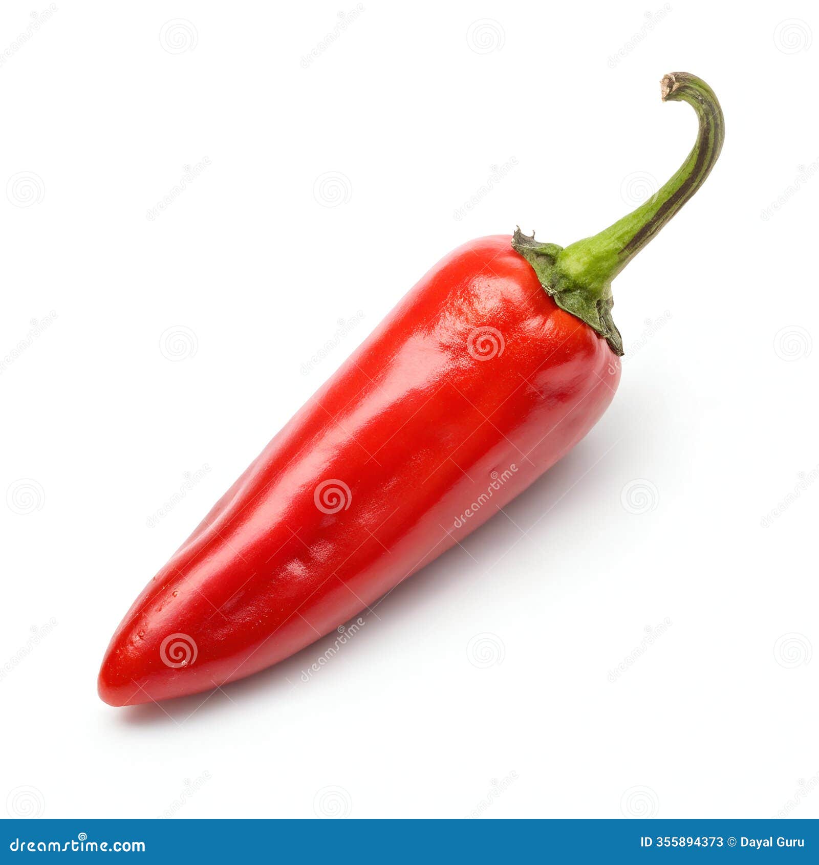 Fresh Chilli Pepper With Hand Drawing Or Sketch Style. Sketch Of ...
