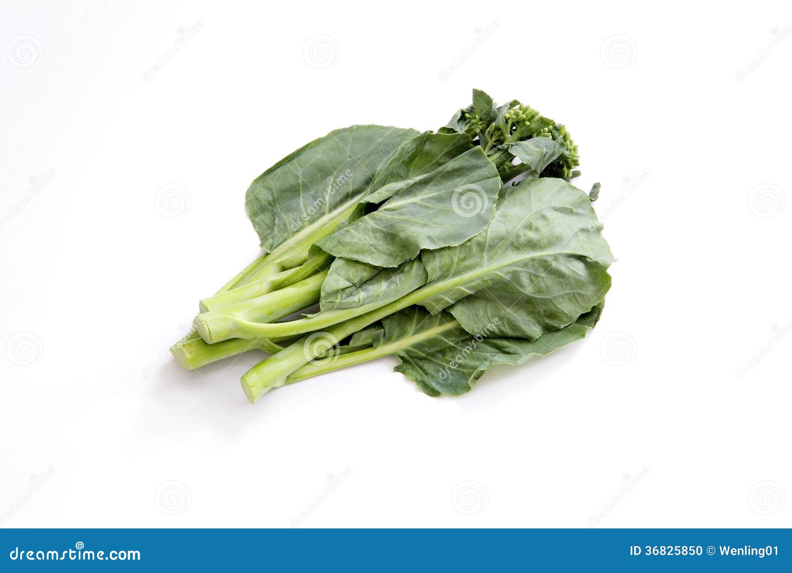 Fresh Chinese broccoli stock photo. Image of delicious - 36825850
