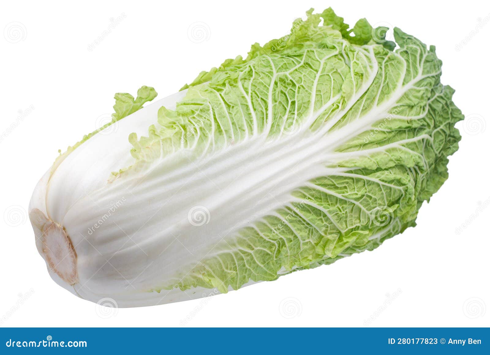 Chinese Cabbage Isolated on White Background Stock Image - Image of ...