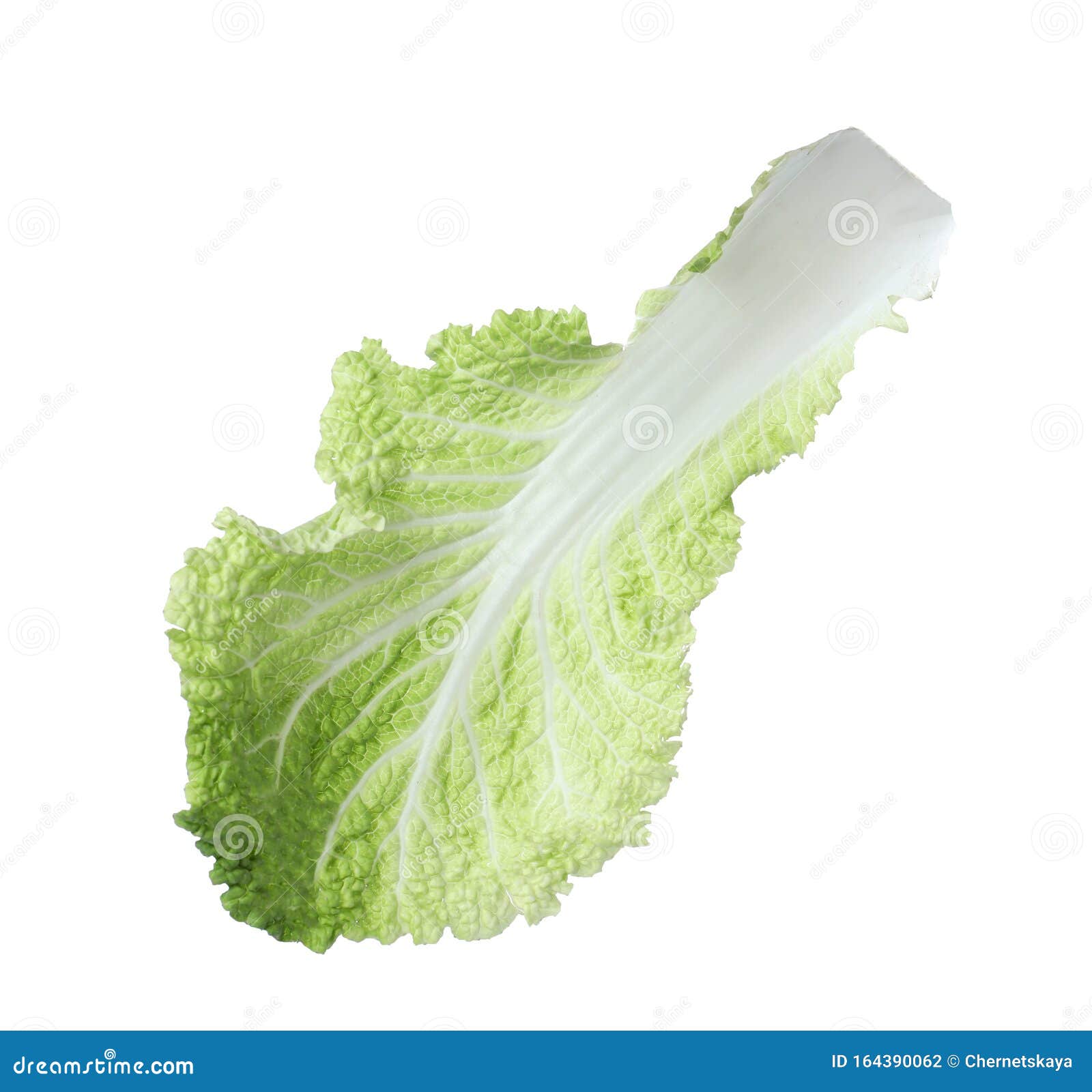 Fresh Chinese Cabbage Leaf Isolated on White Stock Photo - Image of ...