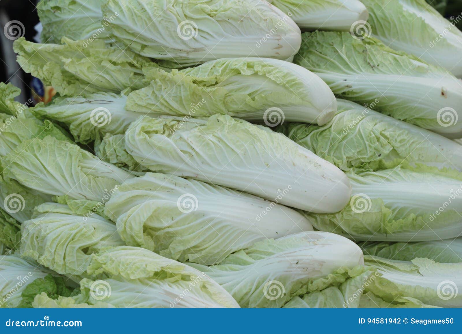 Fresh Chinese Cabbage in Market. Stock Photo - Image of green, healthy ...