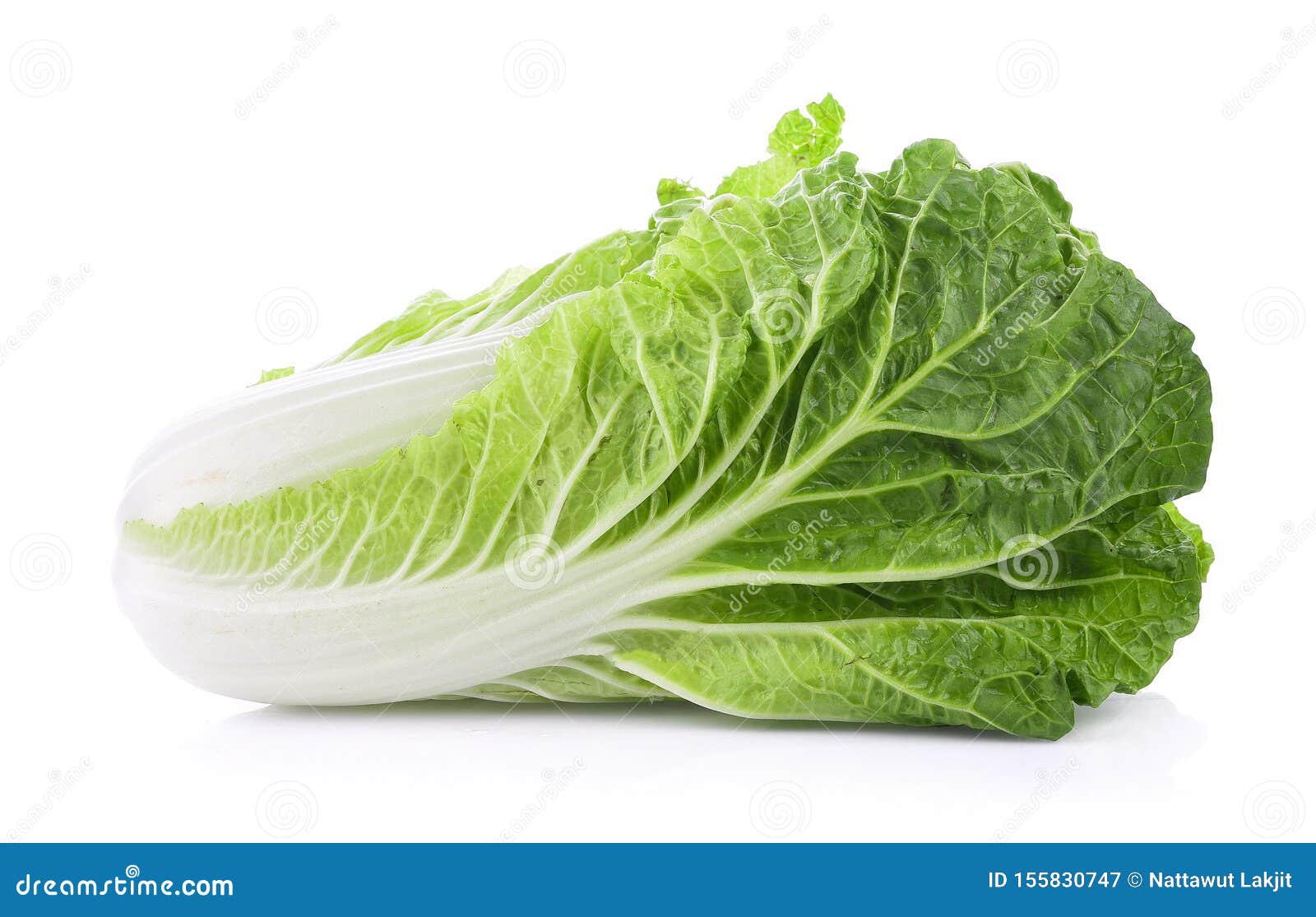 Fresh Chinese Cabbage on a White Background Stock Image - Image of ...