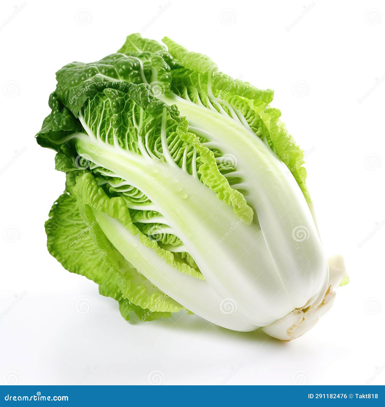 Fresh Chinese Cabbage on White Background Stock Photo - Image of ...